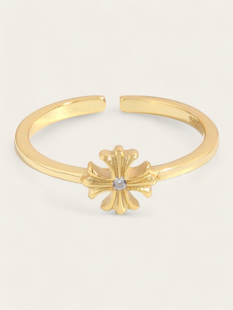 RINGS - Ynez Project